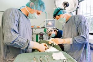 Intervertebral Disc Disease (IVDD) in Dogs